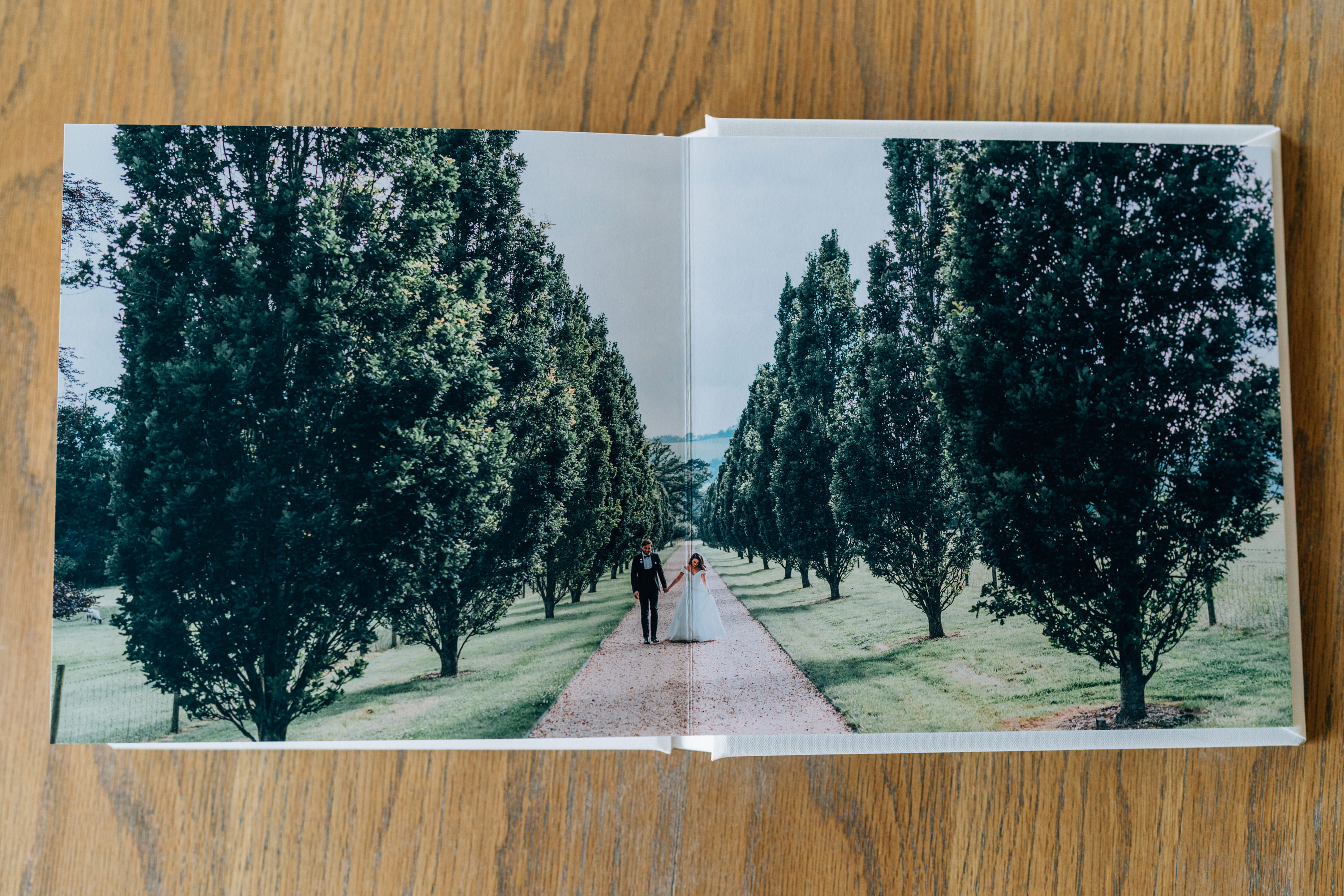 White Sugar coated book cloth with Gold deboss | visionart