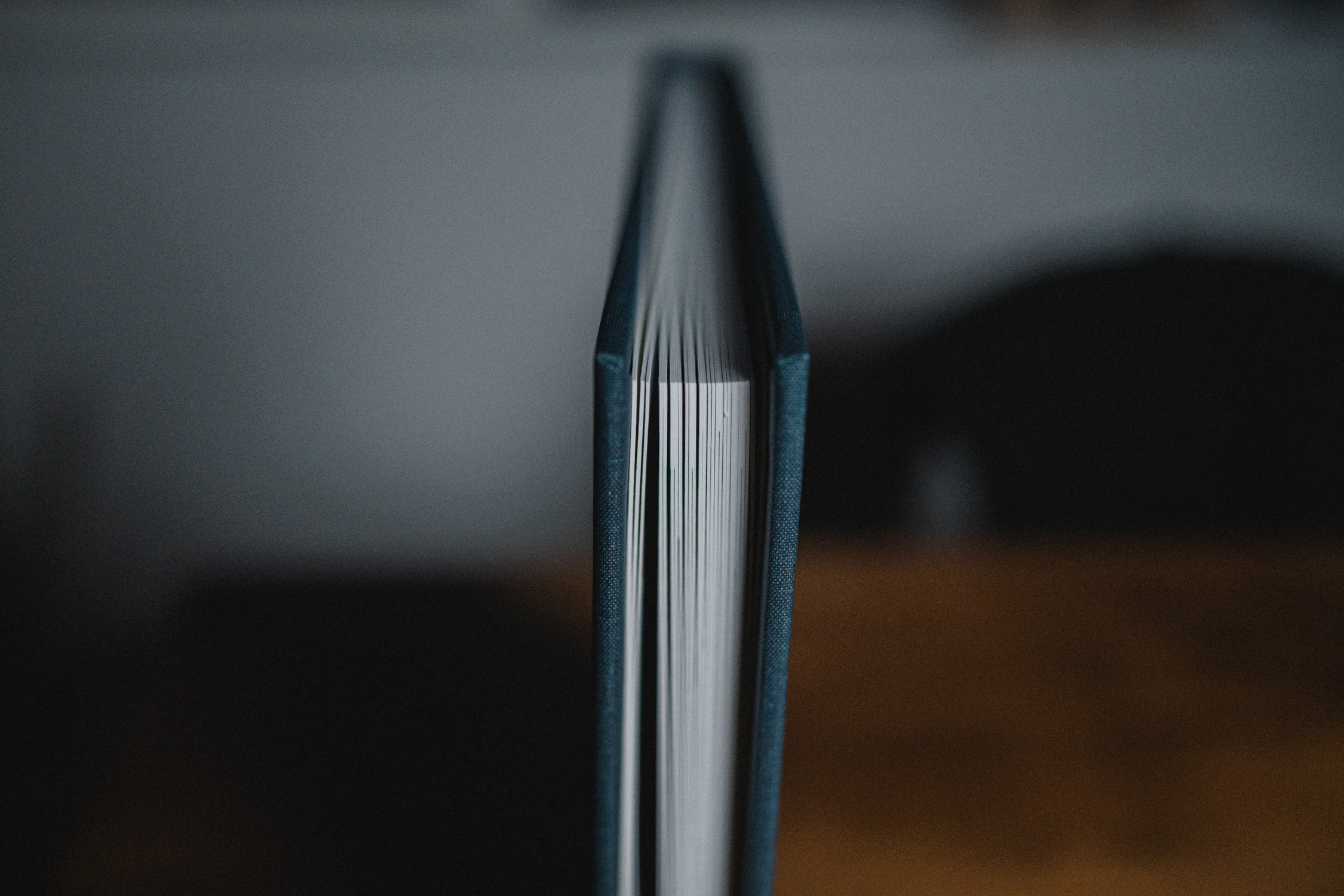 Kenzie and Mike | visionart