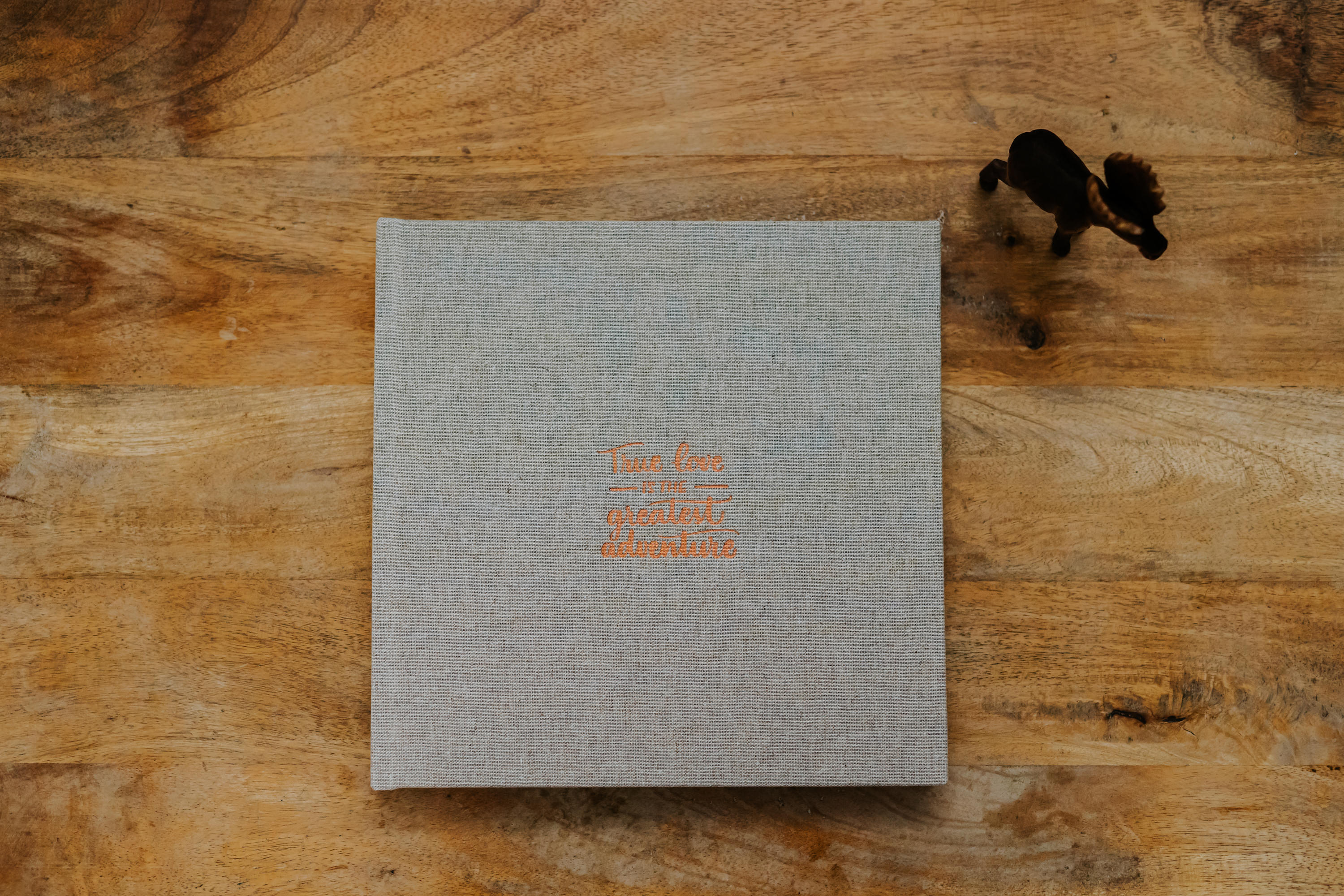 11x11" Original Fine Art Book - Natural Toasted Marshmallow with Rose ...