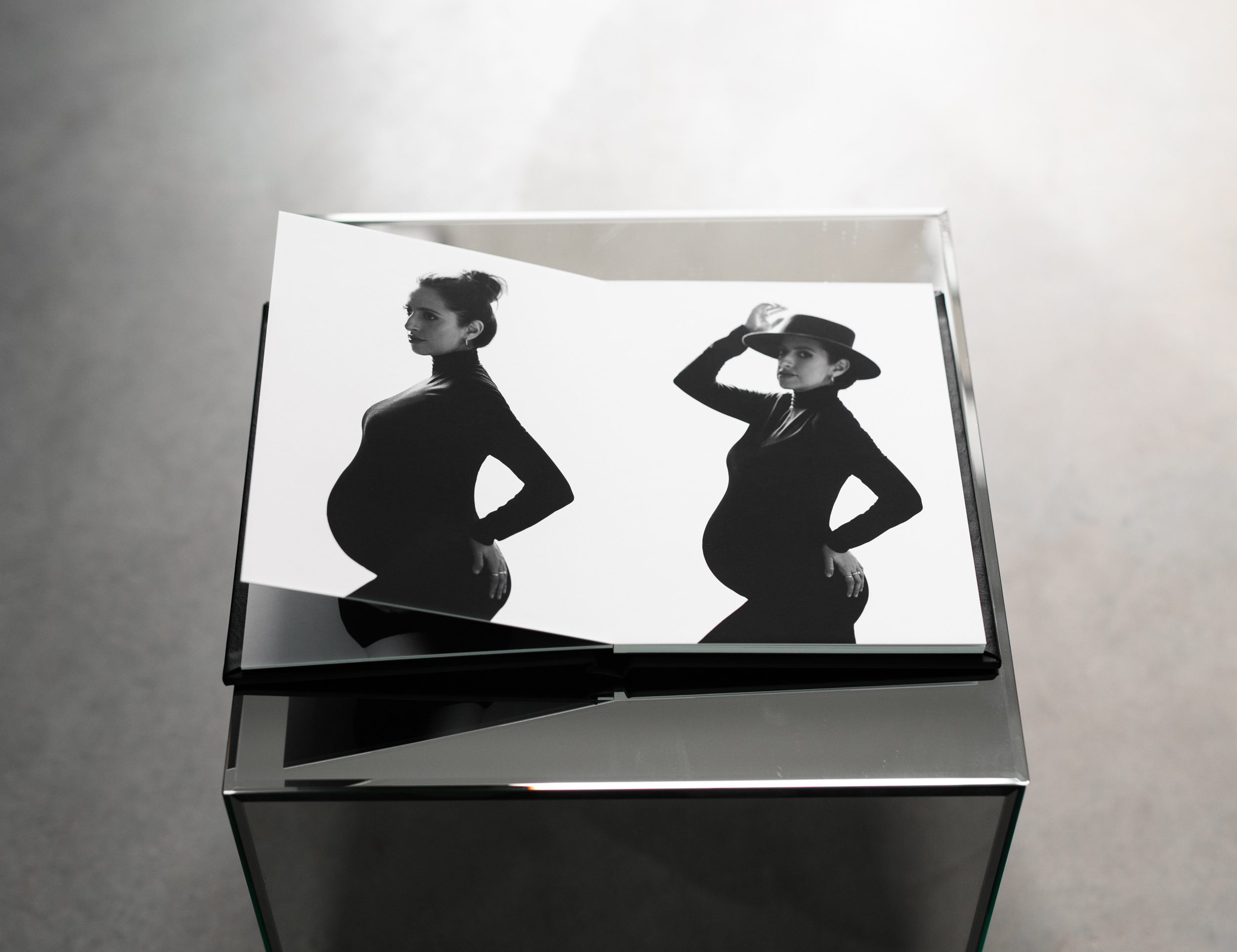 Cafe Leather Maternity Album | visionart