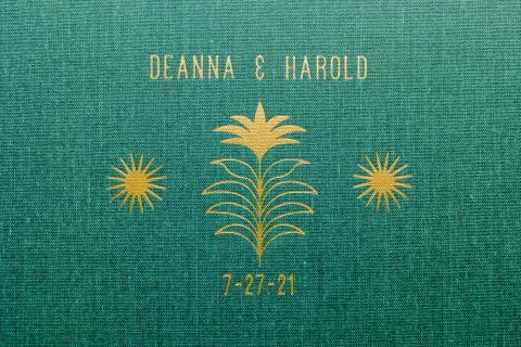 Deanna and Harry | visionart