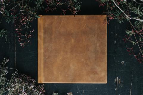 10x10 American Honey Cover | visionart